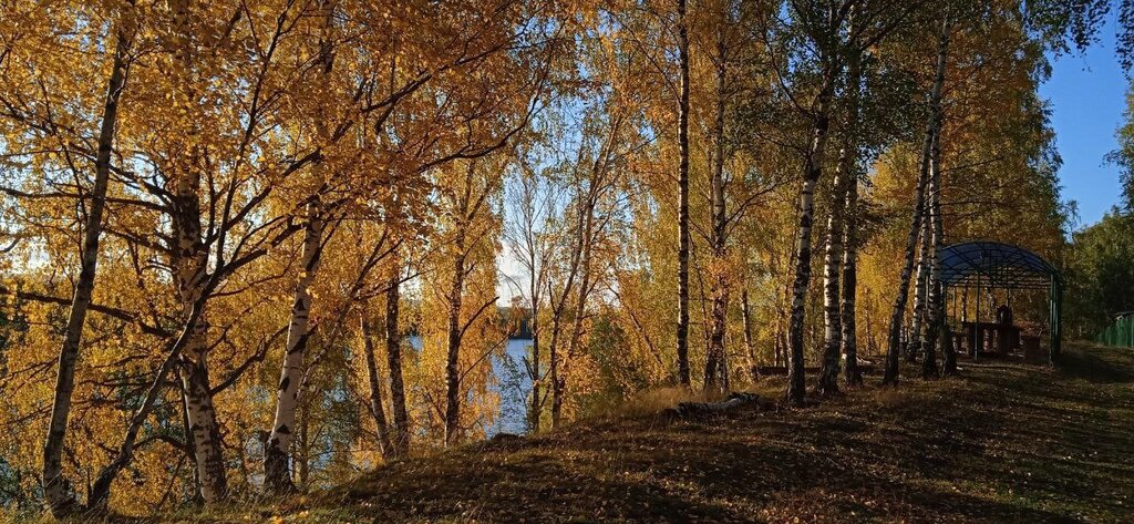 Tatil köyleri Kamenskie_zori, Nijegorodskaya oblastı, foto