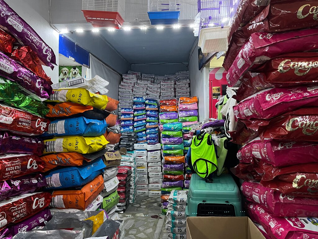 Petshop Pisi Pisi Petshop, İstanbul, foto