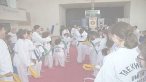 Roldan Artes Marciales (Provincia de Santa Fe, Departamento Rosario, Rosario), spor ve eğlence merkezi  Rosario'dan