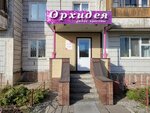 Orkhideya (Ayvazovskogo Street No:31, Residential district Spichfabrika), güzellik salonu  Tomsk'tan