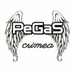 Pegas Crimea (Севастопольская улица No:31А), deri atölyesi  Simferopol'dan (Akmescit'ten)
