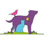 Зоотовары (Gazety Zvezda Street No:45), petshop  Perm'den