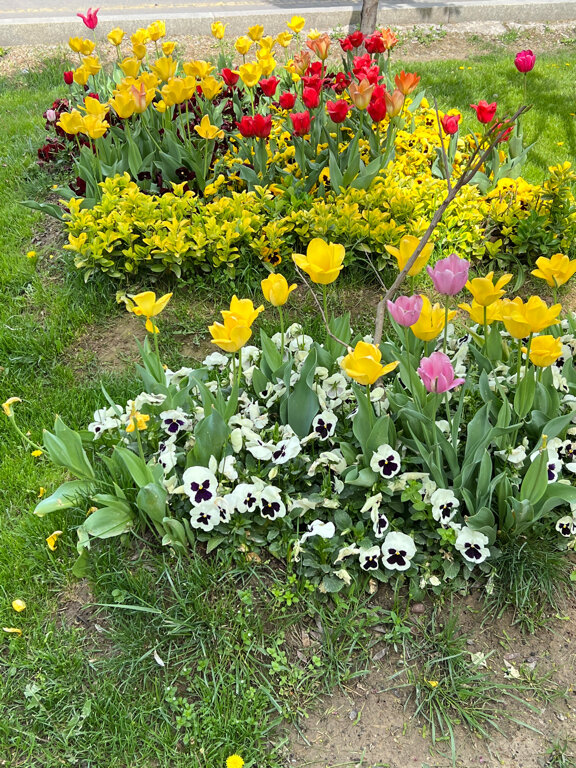 Kültür ve eğlence parkları Jasorat bog'i, Taşkent, foto