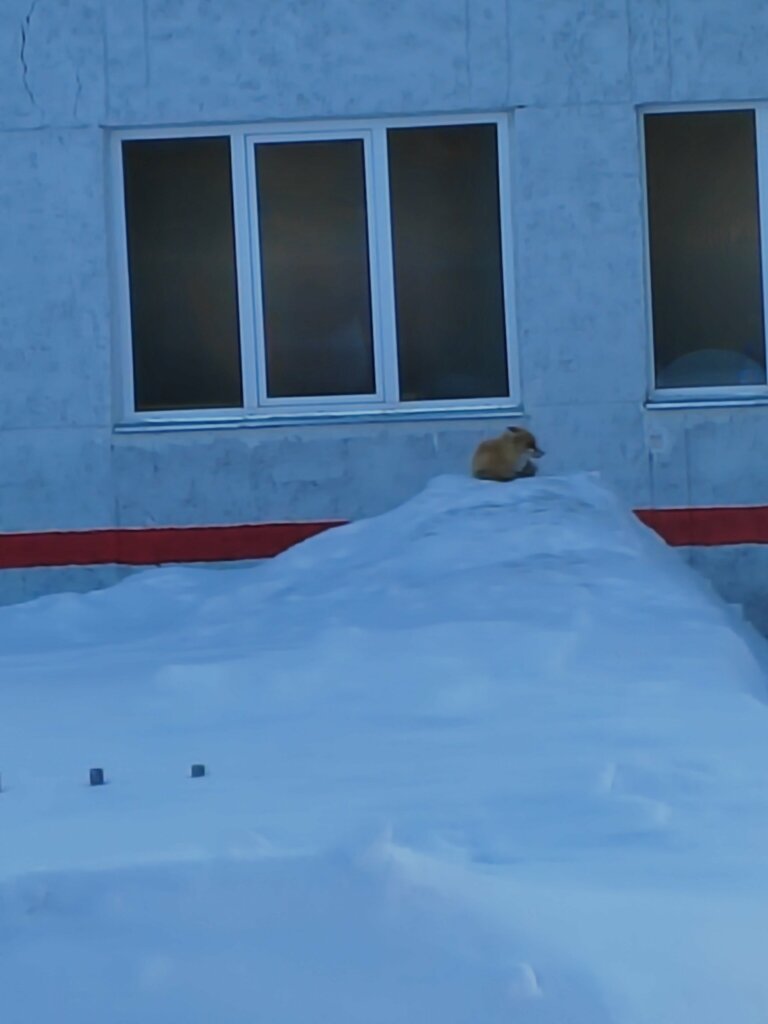 Yük istasyonu разъезд Покачевский, Hantı‑Mansi Özerk Okrugu, foto