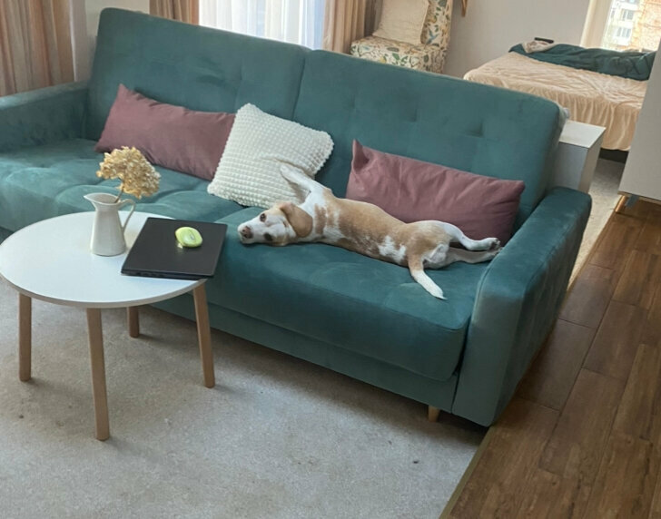 Koltuk takımı mağazaları Divan Boss, Simferopol (Akmescit), foto