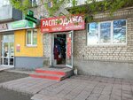 Магазин обуви и сумок (Krasnoarmeyskaya Street No:127), ayakkabı mağazaları  Samara'dan