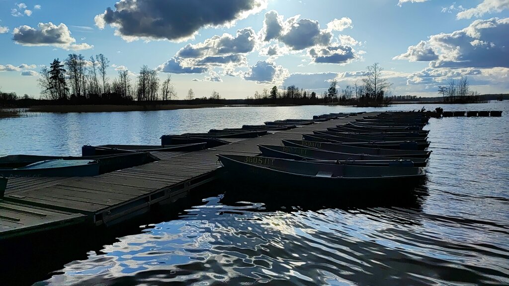 Bahçecilik dernekleri ve kuruluşları Правление СНТ Ручеёк, Saint‑Petersburg ve Leningradskaya oblastı, foto