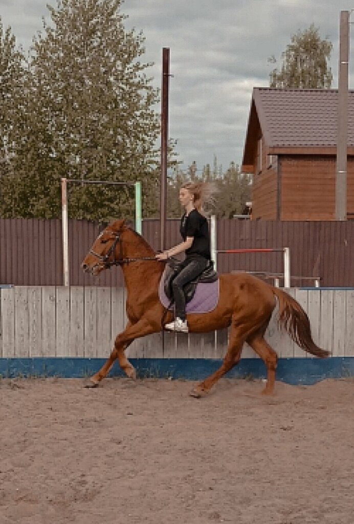 At ve binicilik kulüpleri Айвенго, Nijni Novgorod, foto