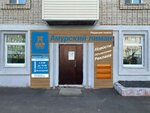 Mbu Redaktsiya gazety Amursky liman (ulitsa Gogolya No:28), gazete ve dergiler  Nikolaevsk‑na‑Amure'den