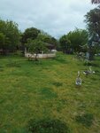 Mahmut'un Çeşmesi (İstanbul, Silivri, Selimpaşa Mah., Güller Cad., 53), restoran  Silivri'den