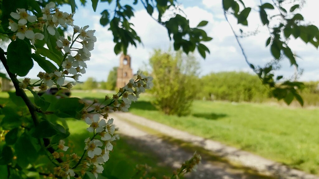 Ortodoks kiliseleri Церковь Димитрия Солунского, Penzenskaya oblastı, foto
