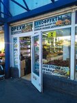 Орехи, сухофрукты (Sharapovskiy Drive No:1А, Mytischi), kuruyemiş, atıştırmalık, kuru meyve  Mytişçi'den