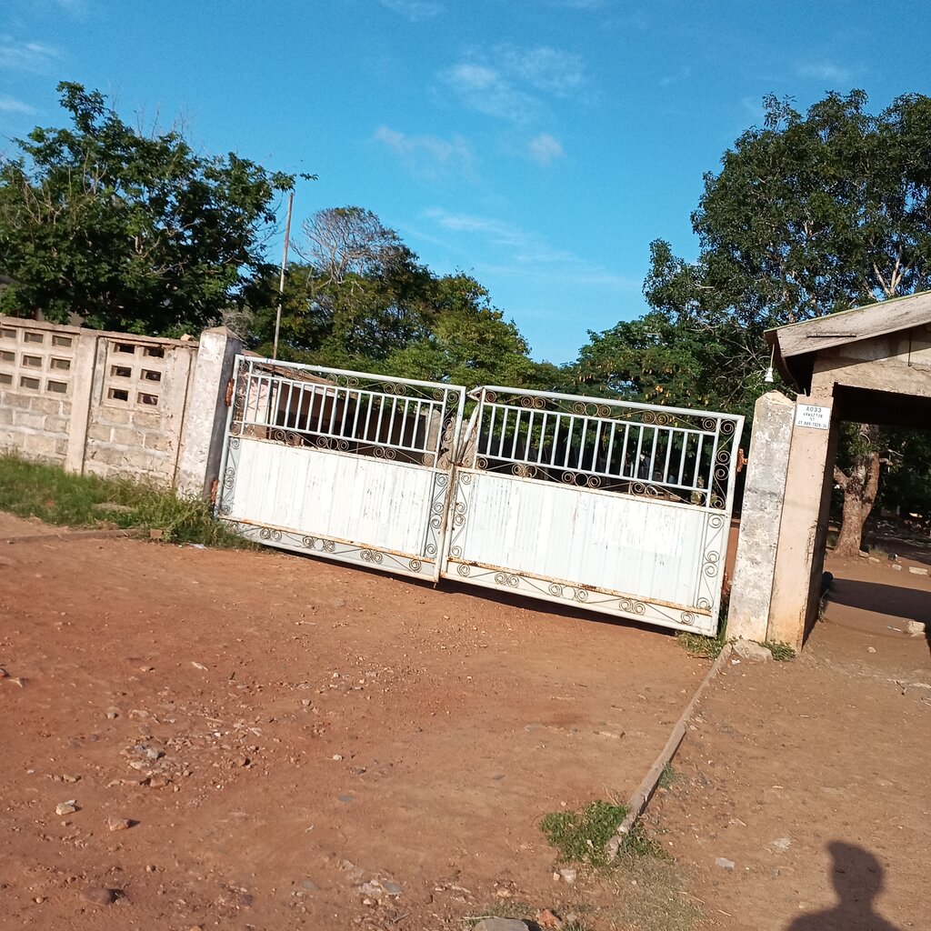 Ortaokul Star Basic School, Dünya, foto