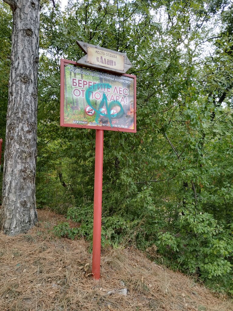 Piknik alanı Место для пикника, Kırım Cumhuriyeti, foto