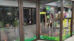 Зелёный дом (проспект Кирова No:29), çiçekçiler  Simferopol'dan (Akmescit'ten)
