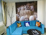 Кошки в Лукошке (ulitsa imeni V.M. Komarova No:21В), pet otel  Krasnodar'dan