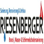 Riesenberger GmbH (Salzburg, Alte Mattseerstraße, 34), i̇nşaat firmaları  Dünya'dan