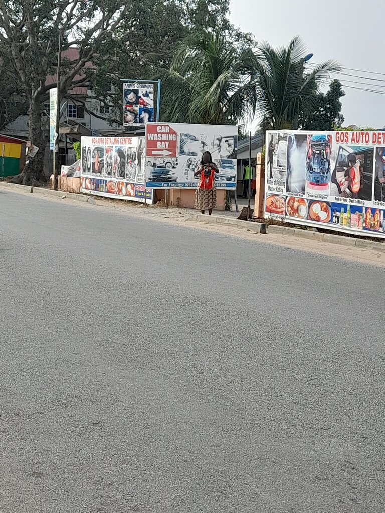 Berberler Anims Grooming, Dünya, foto