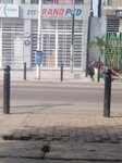 Ets Le Grand Pcd (Brazzaville, Commune de Poto-Poto), bilgisayar mağazaları  Brazzaville'den