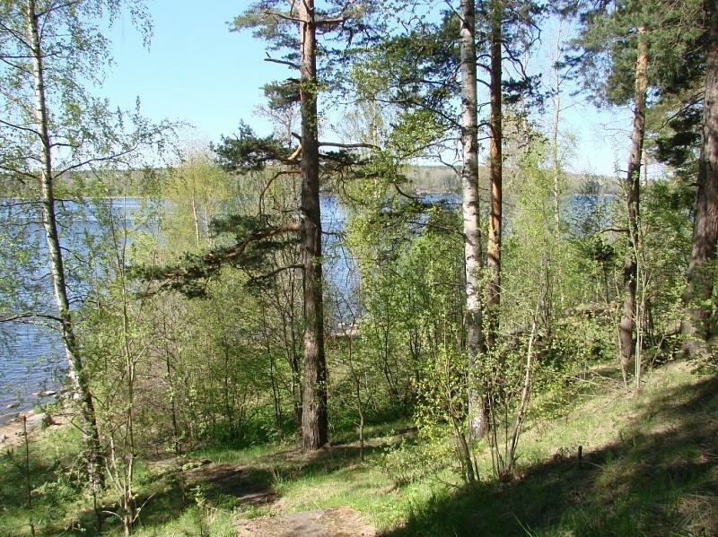 Tatil köyleri Kiviniemi Park, Saint‑Petersburg ve Leningradskaya oblastı, foto