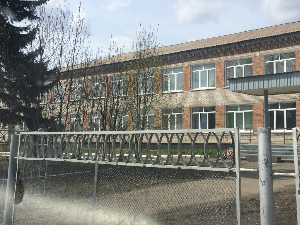 Ortaokul Новозоринская средняя общеобразовательная школа, Altayski krayı, foto