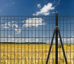 Bal. Fer (Marche, Macerata, Treia, Passo di Treia), i̇nşaat malzemeleri toptan  Marche'den
