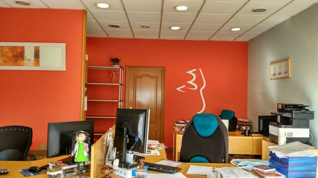 Danışmanlık hizmetleri 3efe Estudio Empresarial S. L., Bask Ülkesi, foto