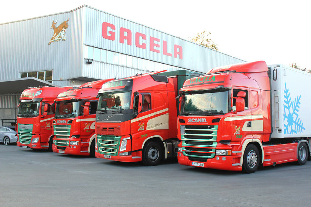 Toplu taşıma yönetimi ve bakımı Transportes Gacela, Irun, foto