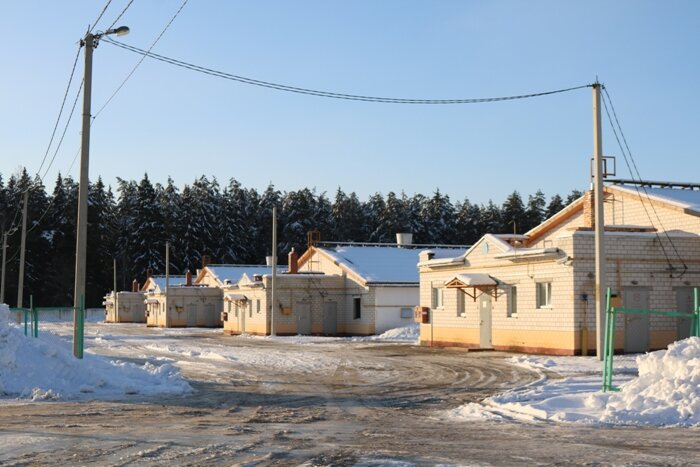 Hayvancılık Птицафабрика Студенец ОАО Асобино, Gomelskaya oblastı, foto