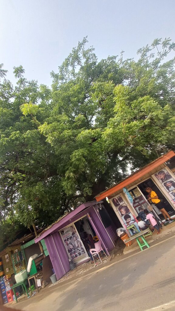 Güzellik salonu Big Apple, Akra, foto