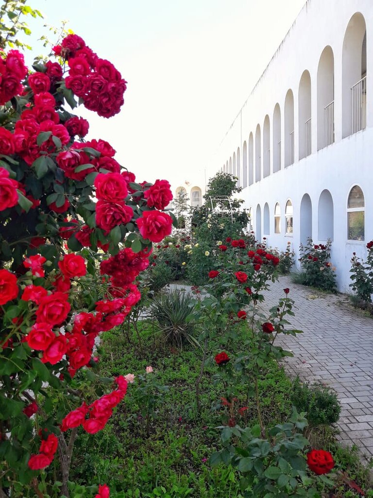 Otel Del Mar, Kırım Cumhuriyeti, foto