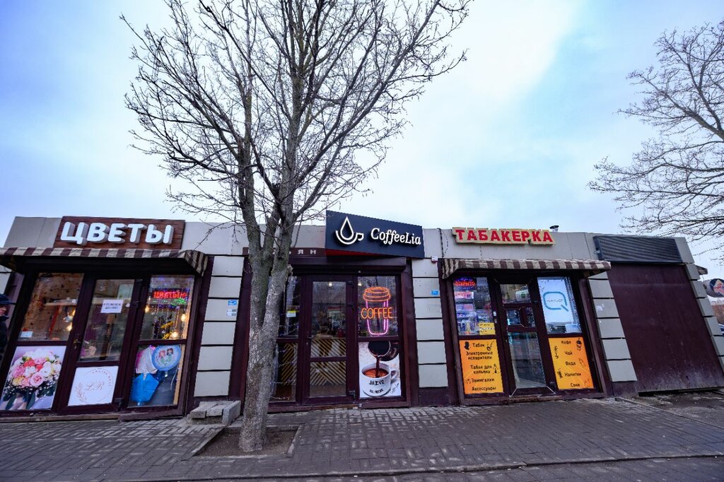 Kahve dükkanları CoffeeLia, Rostov‑na‑Donu, foto