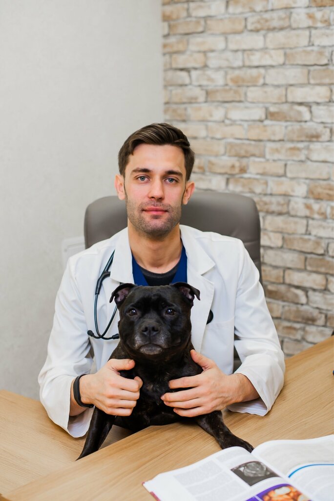 Veteriner klinikleri Liubimcik, Yekaterinburg, foto