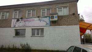 Дельфин (ulitsa Engelsa No:1), kafe  Sovetsk'ten