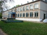 Shkola s. Verkhneye Sancheleyevo Mou (ulitsa Makarova No:42, selo Verkhneye Sancheleyevo), ortaokul  Samarskaya oblastından