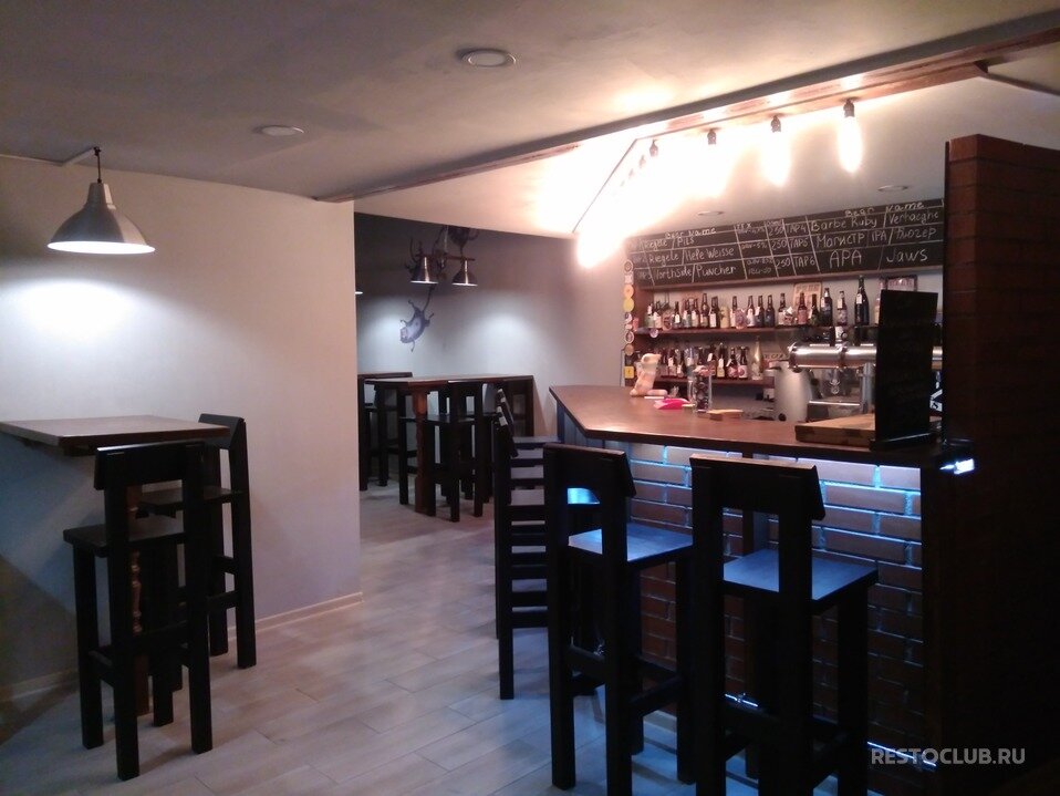 Bar Hoppy Cat, Saint‑Petersburg, foto