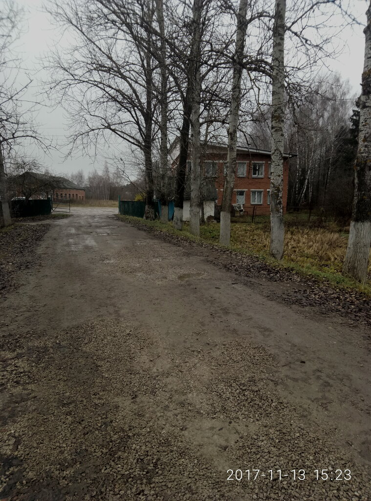 Orman işleri Zaokskoye lesnichestvo, Gu To, Tulskaya oblastı, foto