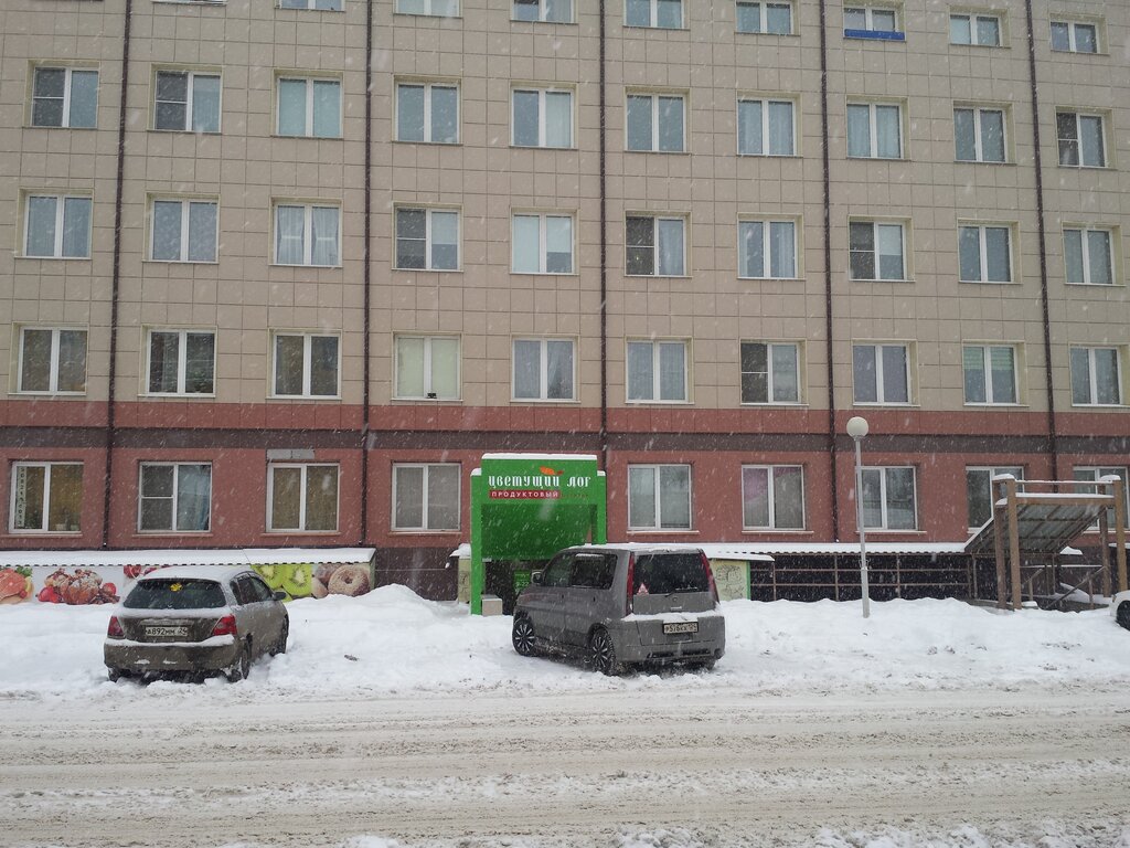Market Tsvetushchy log, Krasnoyarsk, foto