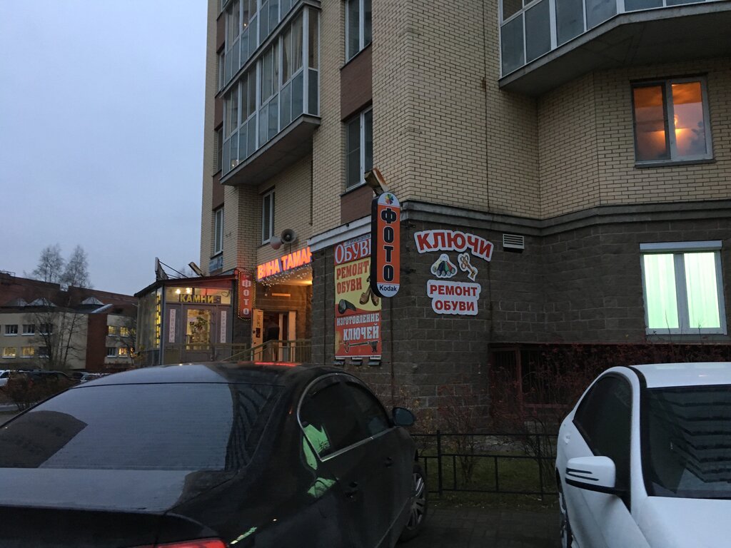 Bina, site yönetimi TSZh Khudozhnikov 12, Saint‑Petersburg, foto