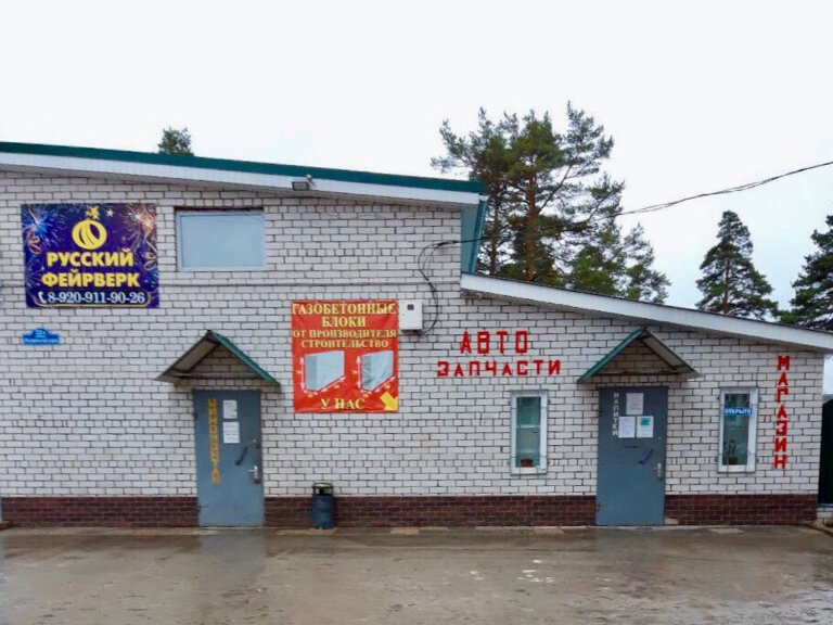 Otomobil yedek parçaları Автозапчасти, Vladimirskaya oblastı, foto