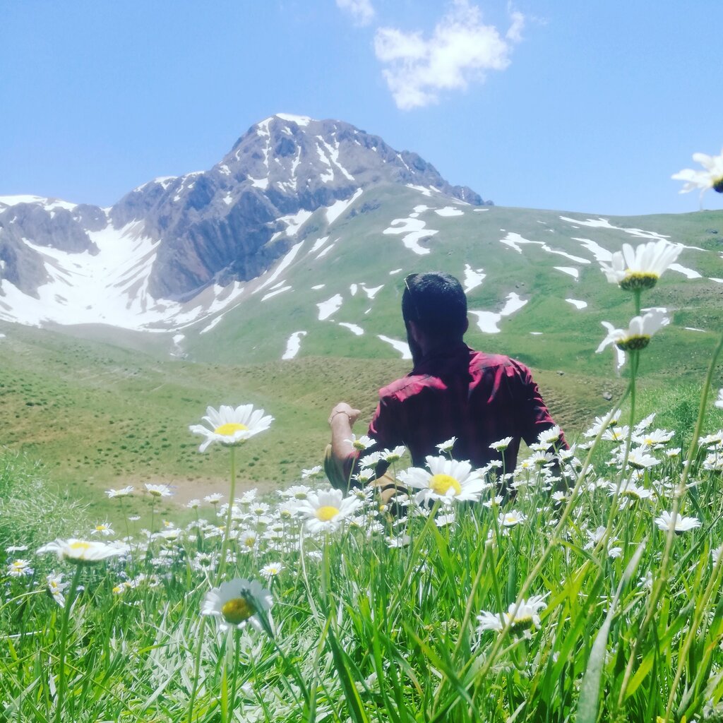 Muhtarlıklar Yalmanlar Köy Muhtarlığı, Ovacık, foto