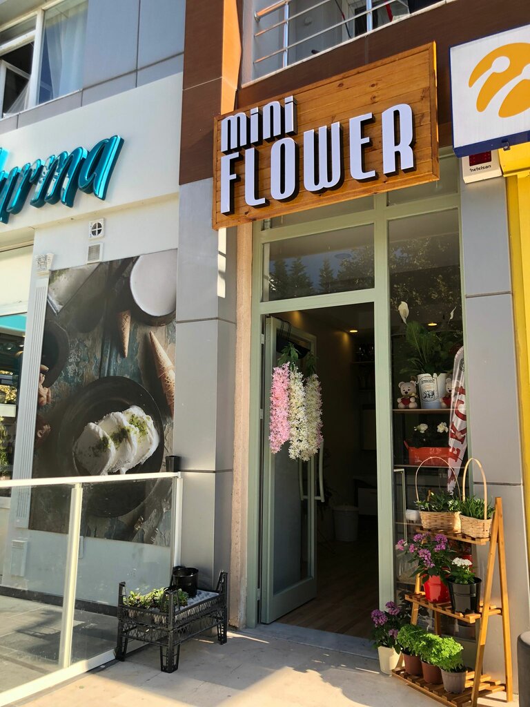 Çiçekçiler Mini Flower, Beylikdüzü, foto