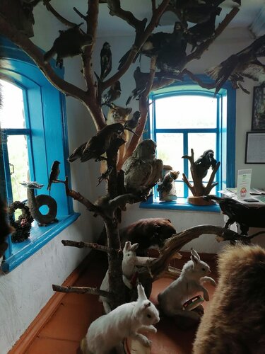 Müzeler ve sanat galerileri Huntershous, Tomskaya oblastı, foto