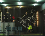 Zooroom (ulitsa Ordzhonikidze No:28), pet otel  Novokuznetsk'ten