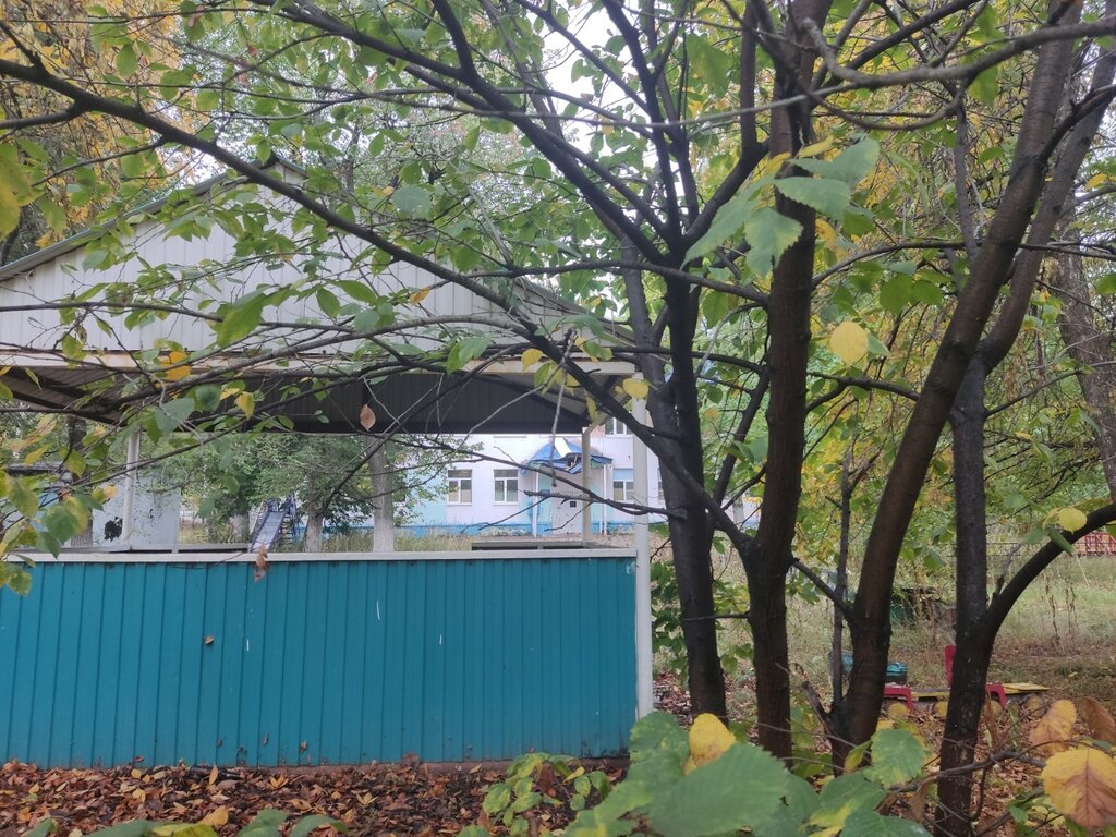 Anaokulları Detsky sad № 33 Korpus № 2, Novokuybyşevsk, foto