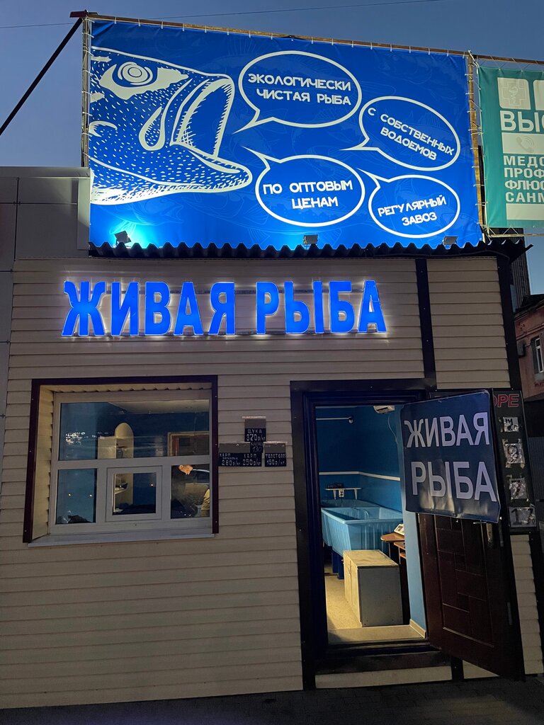 Balık ve deniz ürünleri Live fish, Voronej, foto