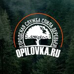 City Tree Removal Service (ulitsa Bakunina No:47), şehir planlama  Voronej'den