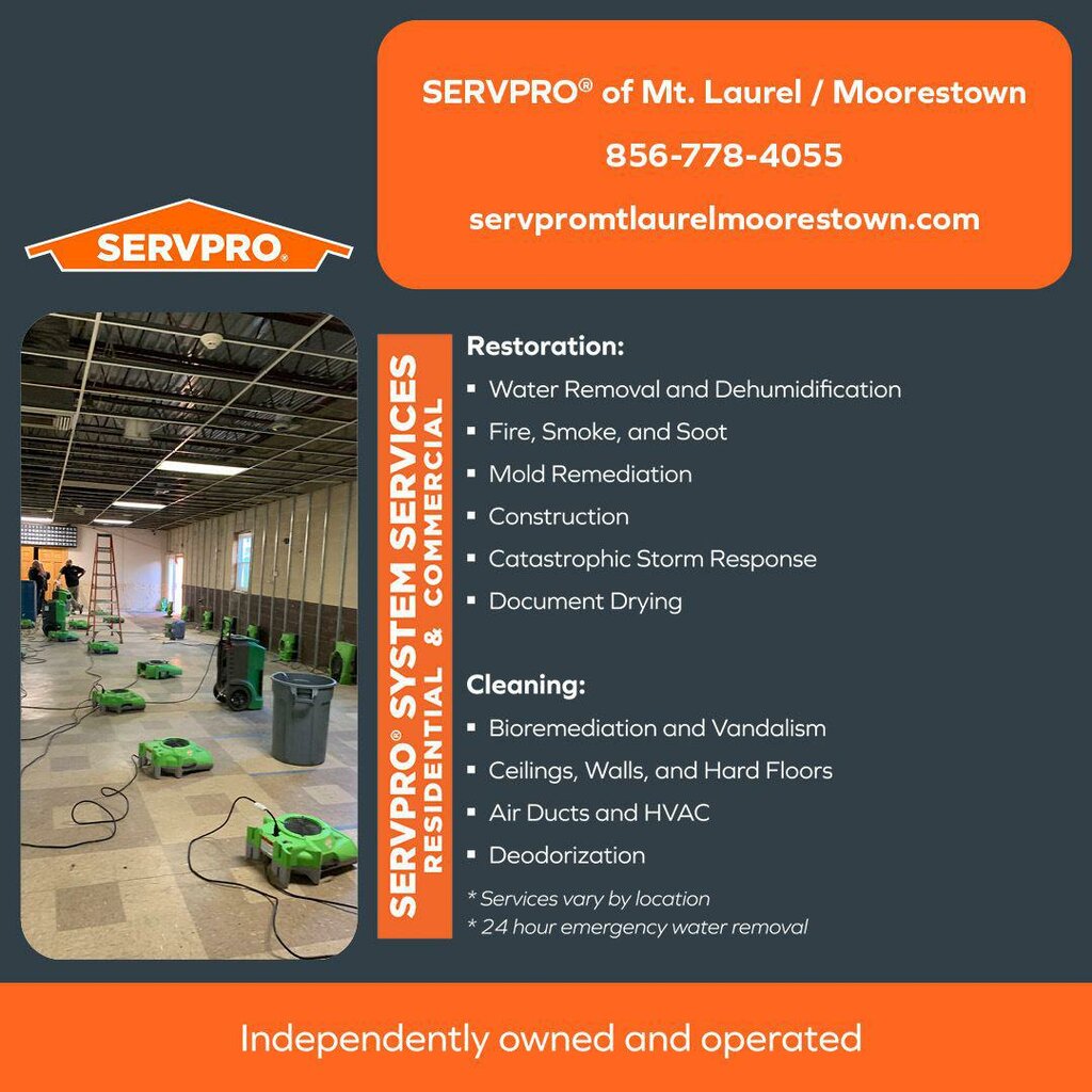 Halı yıkamacılar Servpro of Mt. Laurel/Moorestown, New Jersey Eyaleti, foto