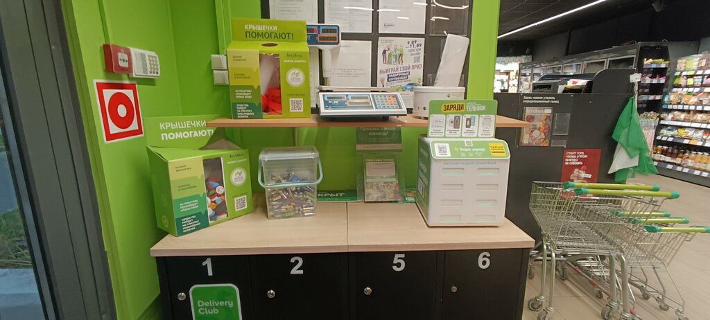 Geri dönüşüm maddeleri Пункт приема батареек, Moskova, foto