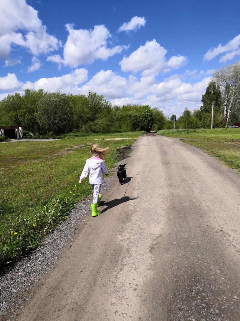 Ortodoks kiliseleri Tserkov Pokrova Presvyatoy Bogoroditsy V Zemetchino, Tambovskaya oblastı, foto